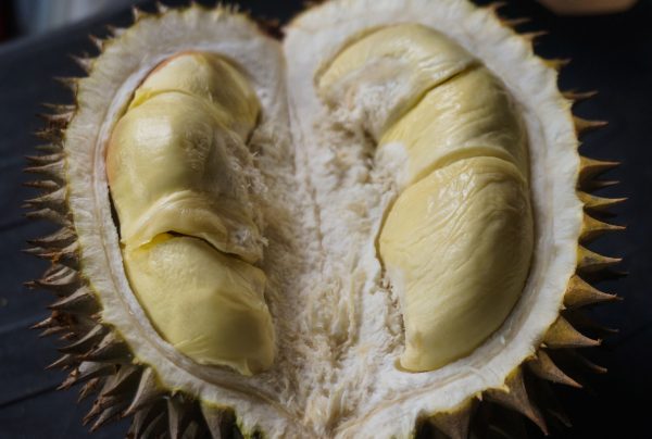 Health Benefits of Durian - Ang Pinoy