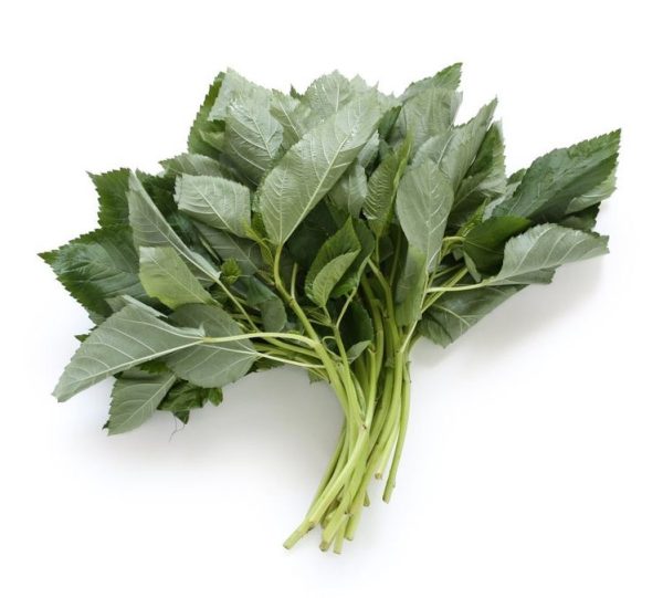 Health Benefits of Saluyot - Ang Pinoy